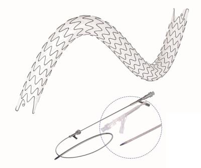 China High Visibility Nitinol Ureteric Stents Hydrophobic Coating Large Flow Channel Ureteral Stent for sale