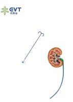 Quality Dual Lumen Ureteral Access Sheath Endoscopic Procedures Access Sheath Urology for sale