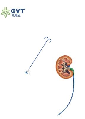 China Dual Lumen Ureteral Access Sheath Endoscopic Procedures Access Sheath Urology for sale