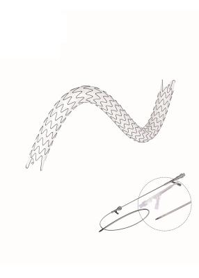 China Maximized Lumen URS Stent With Hydrophobic Nitinol Technology Anti Embedding Coating for sale