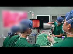Endoscopio monouso ad alta precisione con controllo a una mano, a tenuta stagna, endoscopio a fibre ottiche flessibile