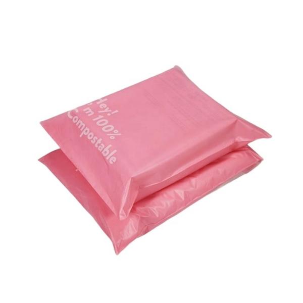 Quality LDPE Plastic Mailer Bag For Business Shipping Surface Handling Gravure Printing for sale