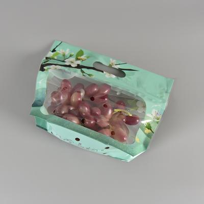 China Custom Clear Food Grade Plastic  Fresh Produce Packaging Bag Farm Fruit Vegetables CPP  Resealable Ziplock  Bag for sale
