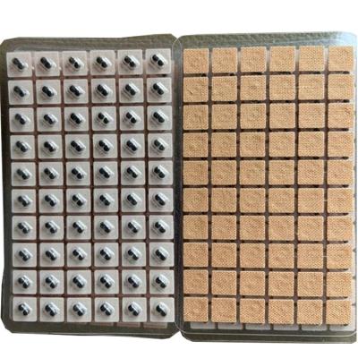 China Tratamento de acupuntura 1200 rodadas Auriculoterapia Orelhas sementes com instrumento de classe I à venda