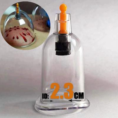 Cina 500pcs Y8 2.3cm Coppe usa e getta per Hijama Massaggio aspiratore a vuoto Coppa terapia in vendita