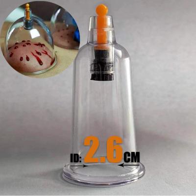 Cina 500PCS Y5 2,6 cm Cellulite Cupping Massaggio Tazze usa e getta con Tazze di terapia di cupping in vendita