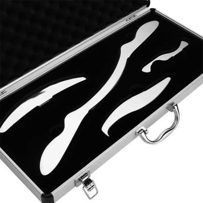 China Herramientas de masaje de plata conjunto de 4pcs de acero inoxidable Gua Sha Kit de raspado para la terapia muscular en venta