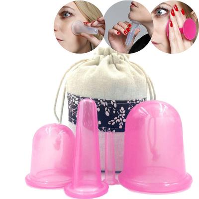 Cina 4pcs corpo facciale strumento di aspirazione a vuoto sano per il viso e il corpo in vendita