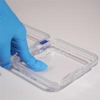 China Plastic Lockable Dental Lab Crown Boxes With Clear Membranes for sale