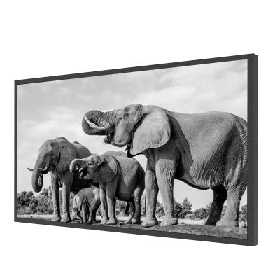 Cina VETO Pubblicità digitale Display ad inchiostro a colori E Eco-friendly Display a basso tenore di carbonio 31,5 pollici E Display di carta in vendita