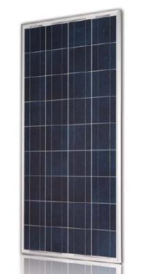Chine panneau solaire de 135W-145W Polycrystalling à vendre