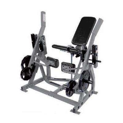China Guiding Iso Arm Leg Curl Machine U+H1027 Ergonomic Multi Position Pro Level for sale