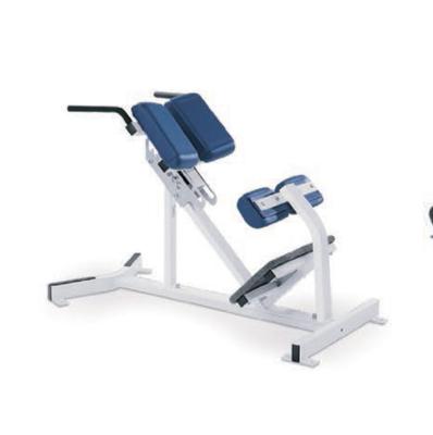 China Attaching Back Extension Machine U+H1046 Pre Aligned Olympic Plate Adjustable Arc for sale