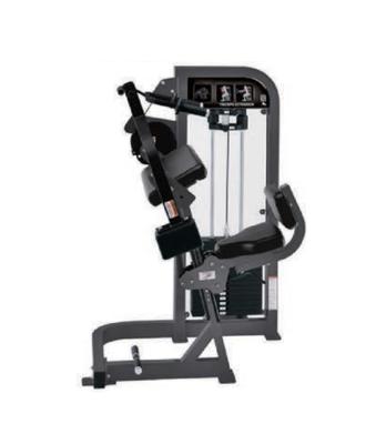 China Wood Triceps Extension Machine U+H2007 Pre Assembled Strength Gym Equipments for sale