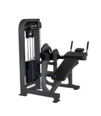 China Brass Seated Abdominal Machine U+H2009 Adjustable Seat Zero Play Multi Station for sale