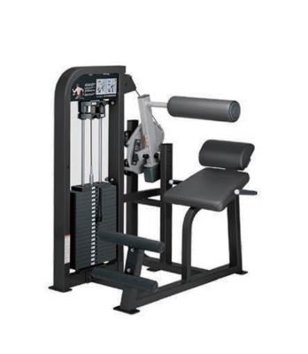 China Titanium Strength Gym Equipments Back Extension Machine U+H2010 Easy Move for sale