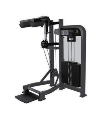 China Poly Standing Calf Raise Machine U+H2017 Whisper Quiet Smooth Robust Aligning for sale