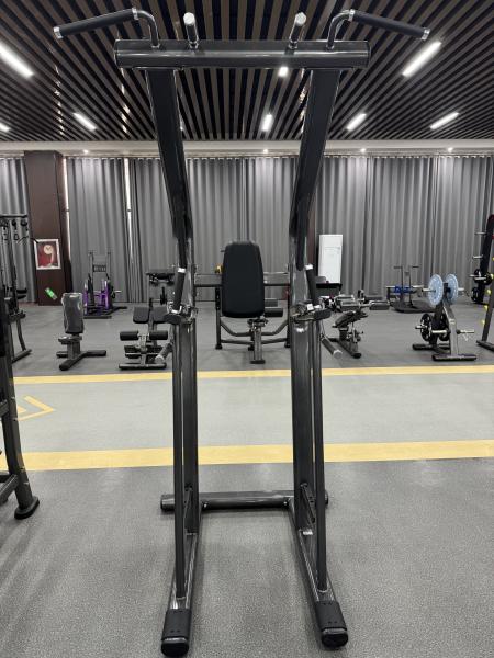 Quality Rail Parallel Bar Knee Raise U+PL1039 Compact Pre Assembled Full Range Pre for sale