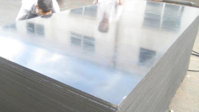 China BLACK FILM FACED PLYWOOD  Black film faced plywood,MR glue,poplar core,black film or black printed film  Film faced shut for sale