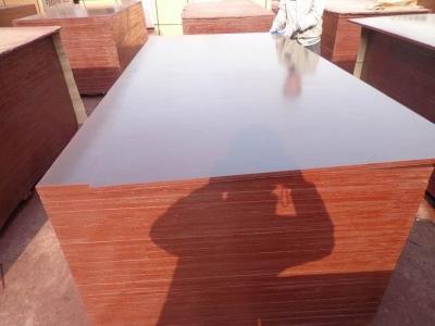 China Dubai Importers For Plywood, Marine Plywood For Construction Duraplex marineplexs sunneyplexx Dyneaplexx for sale