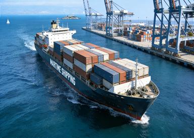 China FCL LCL International Ocean Freight Shipping Services , Sea Freight Forwarding Services for sale