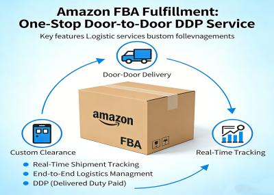 China 24/7 Multilingual Amazon FBA Fulfillment Door To Door DDP Service Real Time Tracking for sale