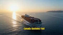 FCL LCL International Ocean Freight Shipping Services , Sea Freight Forwarding Services