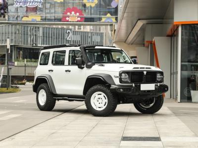 Cina ODM Tank SUV Car Luxury Compact SUV HP L4 Iron Ride 02 Fuel bianco in vendita