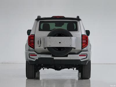 Cina Basic 2.0T Variante Luxury Tank SUV Car Tank 400 2023 Personalizzato in vendita