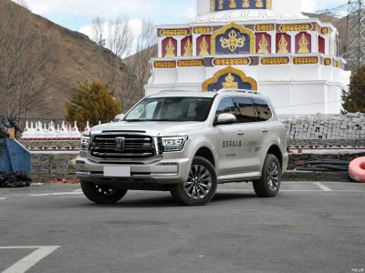 Cina Auto ibride a benzina 3.0T versione sportiva costruita 5 posti Tank oro 500 2023 in vendita