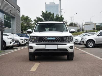 Cina Auto ibride elettriche a benzina ad alto consumo di carburante 100 KmH Design esterno moderno in vendita