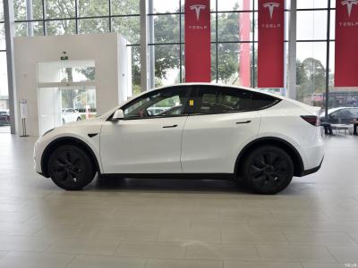 Cina Connettività Internet LTE Tesla EV Veicoli OEM Tesla Modello Auto elettrica in vendita