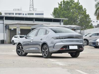 Cina 250 Miles BYD Full Electric Car Sedan Body Type 64 KWh Battery Capacity in vendita