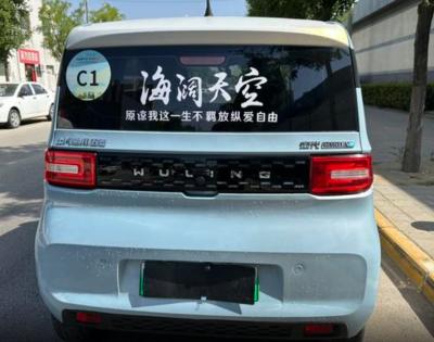 Cina Used Car 2021 Wuling Mini EV Air Automobile Chinese Electric Vehicle Family Car in vendita