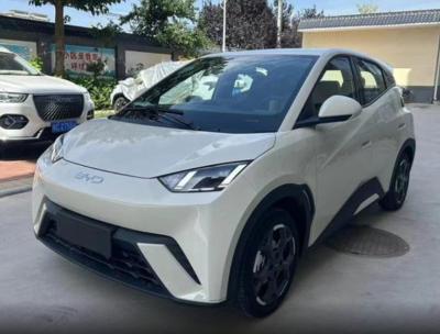 Cina Small Full Electric Car Sedan Used BYD Car Electric Car BYD Seagull in vendita