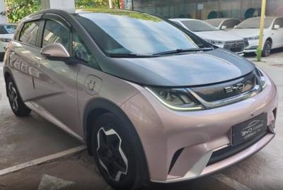 Cina Small Full Electric Car New Enegy Sedan BYD Used Car Used BYD Dolphin in vendita