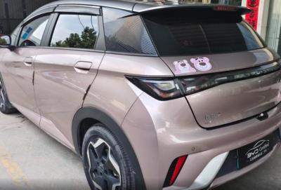 Cina Small Full Electric Car New Enegy Sedan BYD Used Car Used BYD Dolphin in vendita
