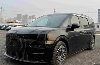 Cina Zeekr 009 2022 Luxury Full electric MPV Auto di famiglia Auto da lavoro Medio Grande MPV elettrico Zeekr 009 in vendita