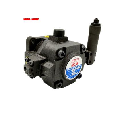China Woodworking Machinery Hydraulic Variable Vane Pump CML 38×25×18cm Size Te koop