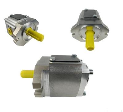 Cina Macchinario dello stampaggio ad iniezione dell'impilatore di EIPH6-100RK23 Mini Hydraulic Gear Pump Per in vendita