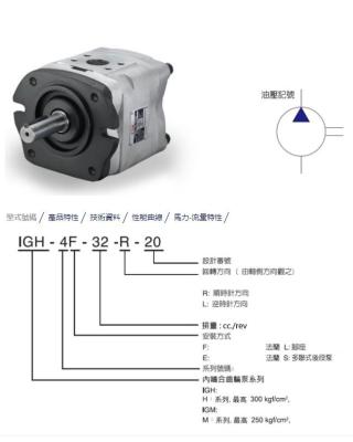 Cina Pala IGH-5F-40-R IGH-5F-50-R IGH-5F-64-R della pompa idraulica di CML in vendita