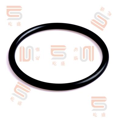 Cina Industria 11.3Mpa O di gomma Ring Seal a semiconduttore in vendita