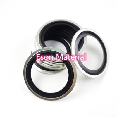 Cina Plain Washer For Assembly NBR/FKM Rubber And Metal Oil resistance seals in vendita
