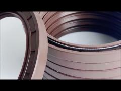 TC oil seal