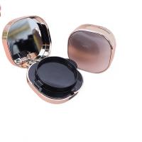 China Light To Medium Coverage Cushion Foundation Case - 15g Capacity for sale