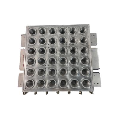 China Durable Aluminum 3 Station Thermoforming Mold Multi Cavity Automatic Blister Packaging Tool for sale