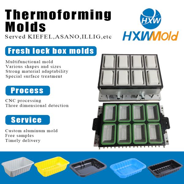 Quality High Precision PP / PE Clamshell Blister Mold Freshness Locking Mould for sale