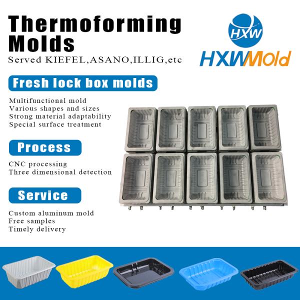 Quality High Precision Thermoforming Mold Plastic resh Keeping Box Food Container Mold for sale