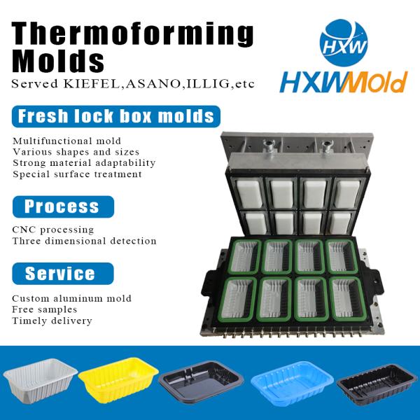 Quality Multi Cavity PP Plastic Container Mold Leak Proof Microwave Safe Locking Box for sale