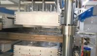 China Fully Automatic Three Station Thermoforming Mold For Disposable Clamshell Cake Boxes for sale